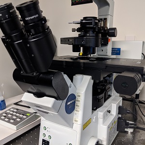 Confocal Microscopes | Emory University | Atlanta GA